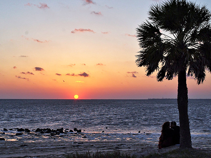 Those palm trees aren't just standing there &ndash; they're auditioning for every Florida postcard ever made.