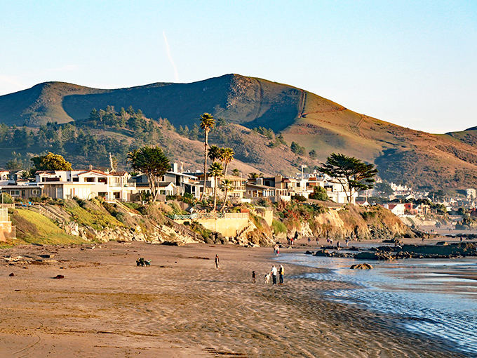 Golden hour transforms these coastal bluffs into a scene straight out of a California tourism commercial &ndash; except this slice of paradise actually exists.