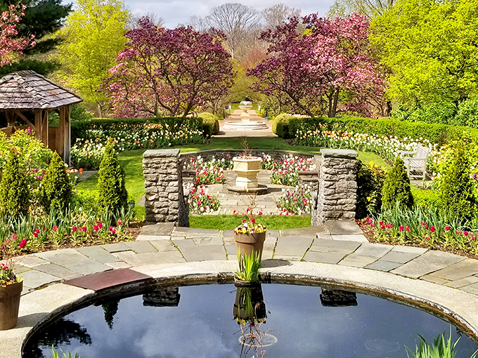Grand brick steps lead to Kingwood's mansion, where meticulously sculpted hedges stand like botanical sentries guarding a horticultural wonderland.