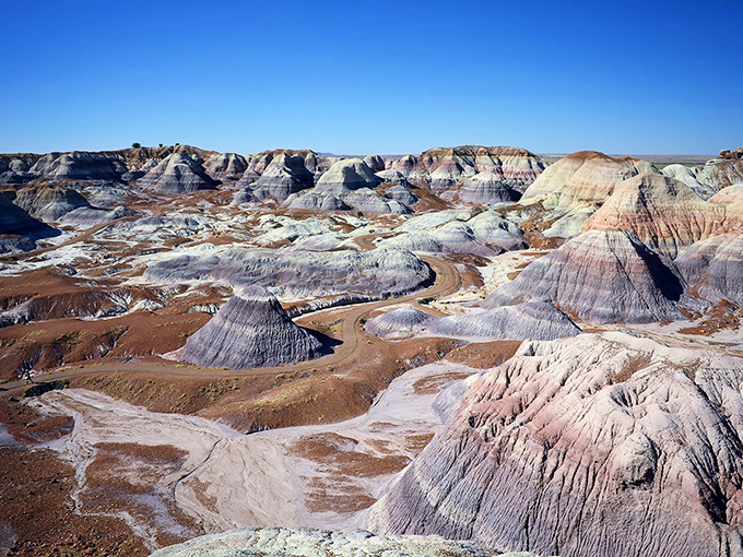 Like someone took a giant ice cream scoop to layers of cosmic birthday cake. The Painted Desert's purple hues make even the most jaded travelers stop and stare.