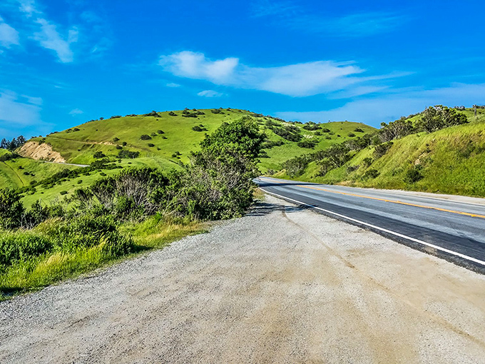 Mother Nature showing off her best angles where emerald hills meet azure skies, creating the kind of view that makes smartphone cameras seem woefully inadequate.