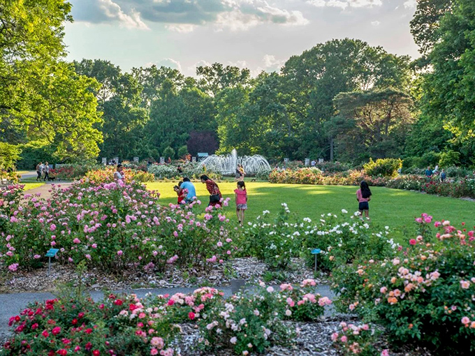 The fountain dances among roses like nature's own choreography, creating a scene straight out of a fairytale in Columbus' hidden paradise.