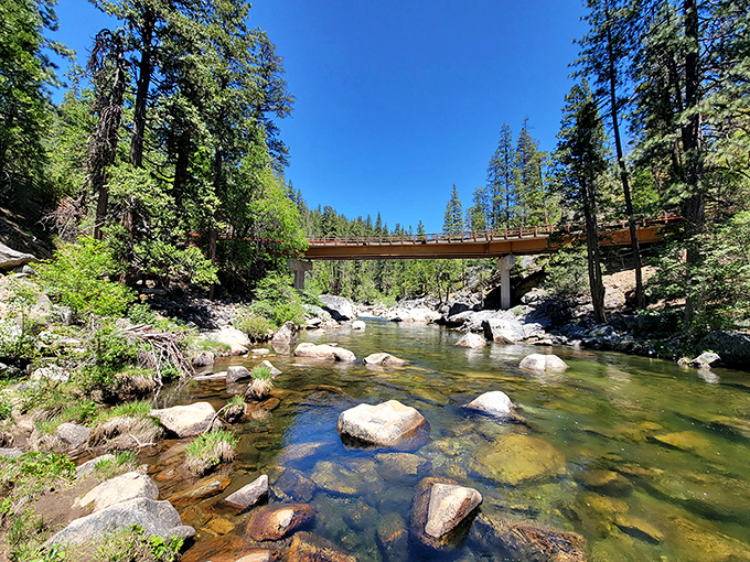 Crystal-clear waters dance over ancient stones while towering pines stand guard like nature's own cathedral.