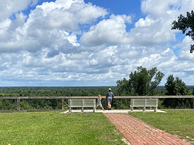 The view that makes you question your GPS. Florida's not supposed to have vistas like this&mdash;someone clearly forgot to tell Torreya State Park.