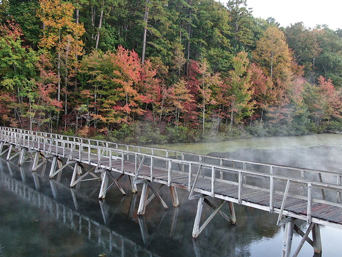 Morning mist dances across the wooden boardwalk at Big Hill Pond, nature's own special effect that makes every photographer look like Ansel Adams.