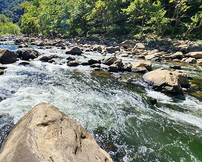 White water dancing over ancient stones &ndash; this isn't your backyard creek. The Russell Fork River has been sculpting this masterpiece for millions of years.