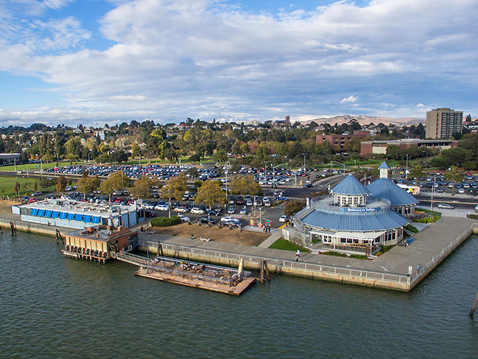 The Vallejo Ferry Terminal isn't just transportation; it's waterfront therapy with a side of "I can't believe this view doesn't require a second mortgage."