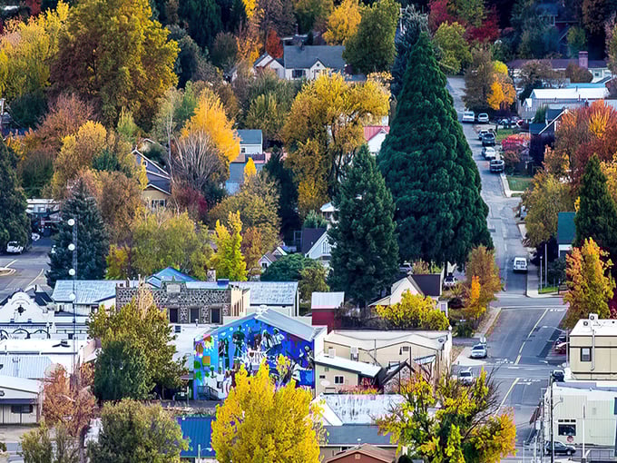 Fall in Quincy paints the town in nature's most extravagant palette&mdash;like if Bob Ross and Monet collaborated on a mountain masterpiece.