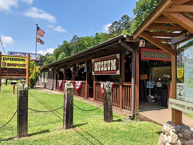The rustic wooden exterior of Expedition Bigfoot beckons with colorful prayer flags and a promise of mysteries waiting inside. Who knew Sasquatch had such charming curb appeal?