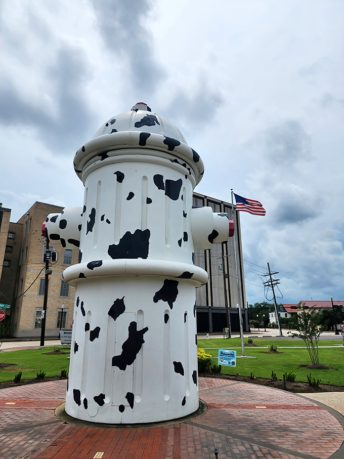 Behold the Dalmatian of downtown infrastructure - a fire hydrant that finally got the respect it deserves!