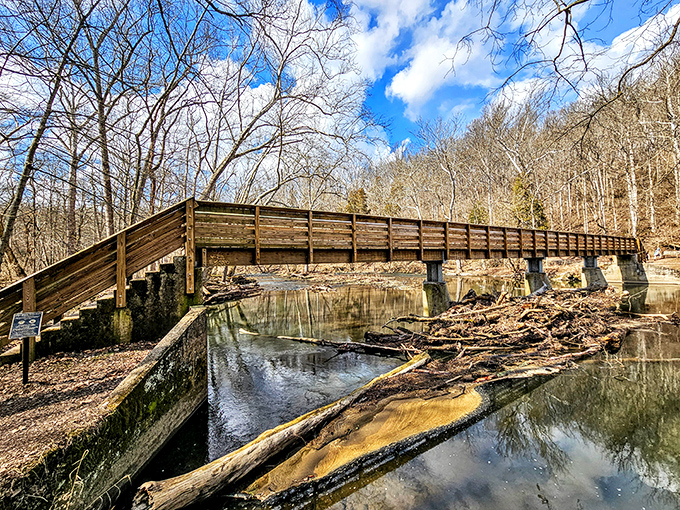 The wooden boardwalk stretches through winter-bare trees like nature's welcome mat, inviting exploration of wetlands most visitors never see.