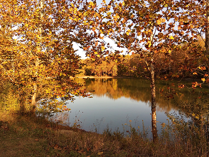 Nature's mirror at work&mdash;Wolf Creek's crystal-clear waters perfectly reflect the lush canopy above, creating a double dose of serenity.