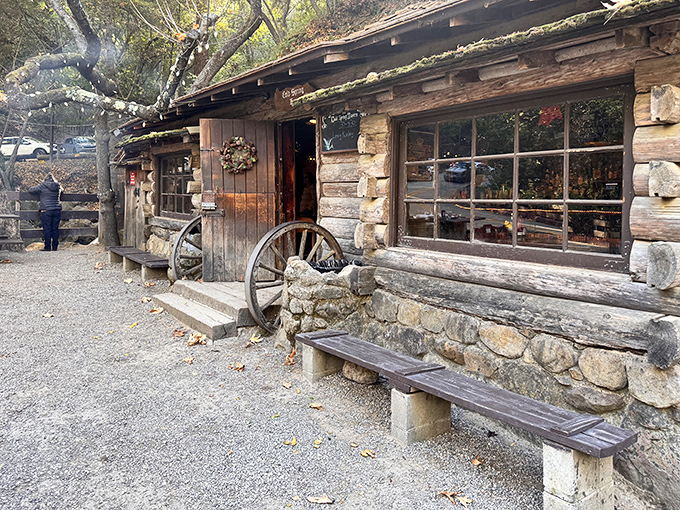 Timeless charm: A cozy log cabin nestled in the woods, inviting visitors to step inside and savor hearty flavors in a warm, rustic setting.