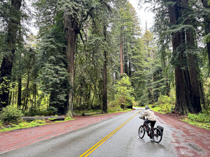 The Scenic 10-Mile Drive In California You’ve Probably Never Heard Of