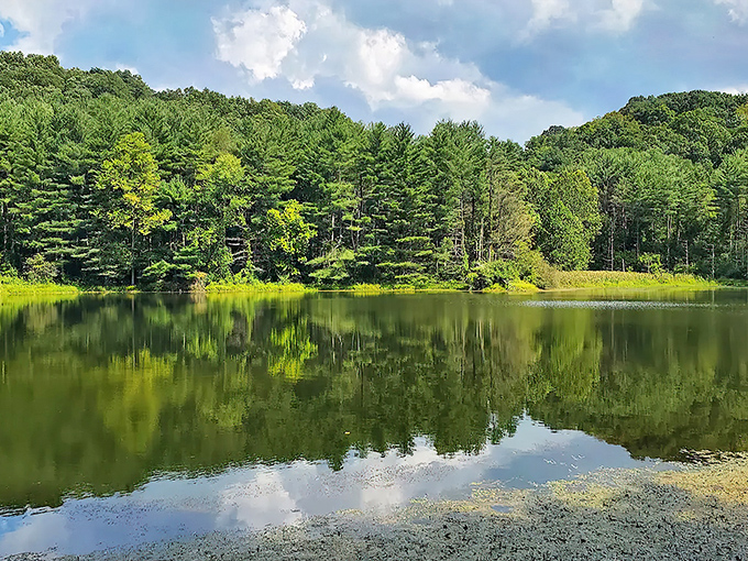 Mirror, mirror on the lake &ndash; this pristine water reflects Ohio's hidden natural beauty perfectly.