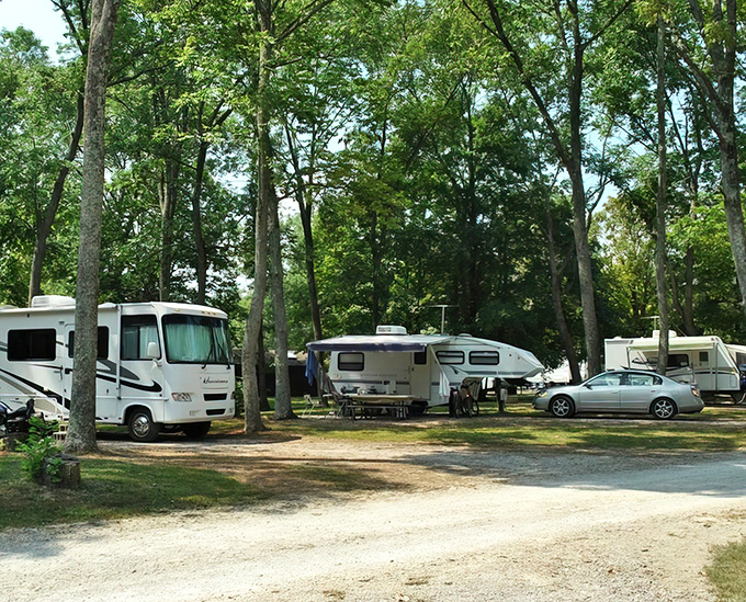 Spacious RV sites nestled among towering trees offer that perfect blend of privacy and community. Home sweet temporary home!