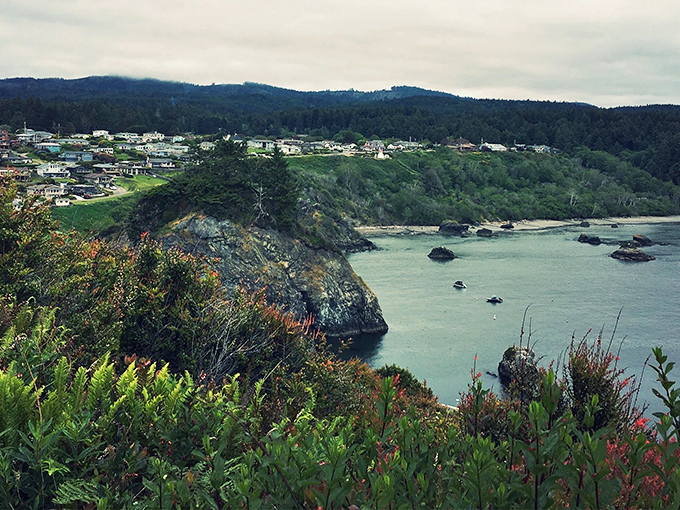 Nature's perfect balcony view! Trinidad's dramatic coastline offers million-dollar vistas that make even the most jaded Californian pause mid-sentence to simply stare in wonder.