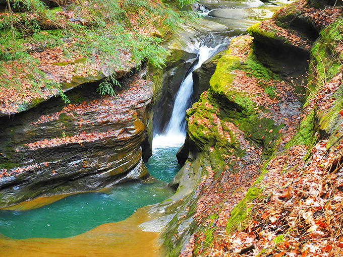 Nature's perfect plunge pool awaits at Boch Hollow. This hidden waterfall carves through ancient sandstone, creating a turquoise oasis that looks like it belongs on a travel influencer's bucket list.
