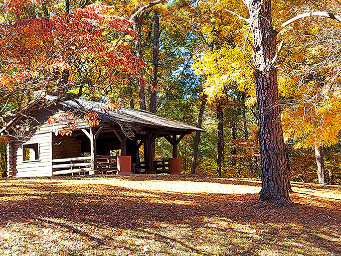 A rustic cabin nestled among autumn's fiery palette. Nature's five-star accommodations come with unlimited leaf-crunching privileges and squirrel serenades.