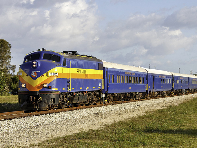 The iconic blue and yellow Seminole Gulf Railway locomotive cuts a striking figure against Florida's sky, like a time-traveling chariot ready for adventure.