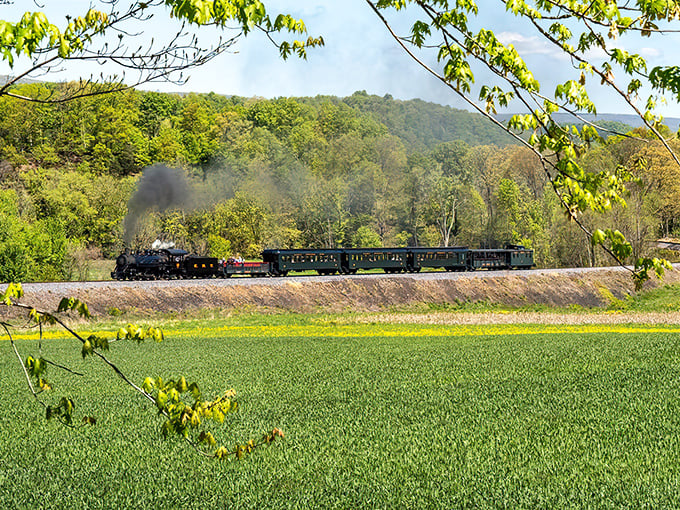 Steam and scenery create the perfect marriage as East Broad Top's locomotive glides through Pennsylvania's verdant countryside. Nature's theater with a moving front-row seat.