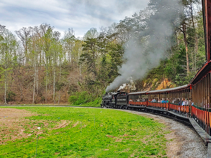 The magnificent Dollywood Express steams into the station, announcing its arrival with a cloud of smoke and that unmistakable whistle that makes everyone's inner child leap with joy.