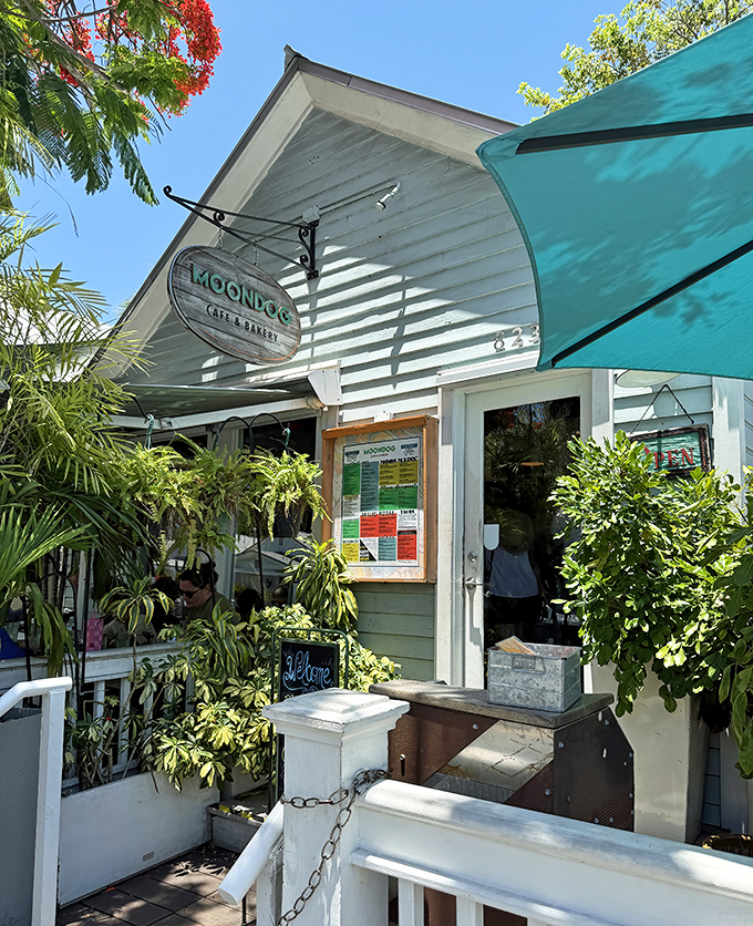 Palm fronds frame this Key West gem like nature's own welcome committee. The menu board teases what awaits inside.