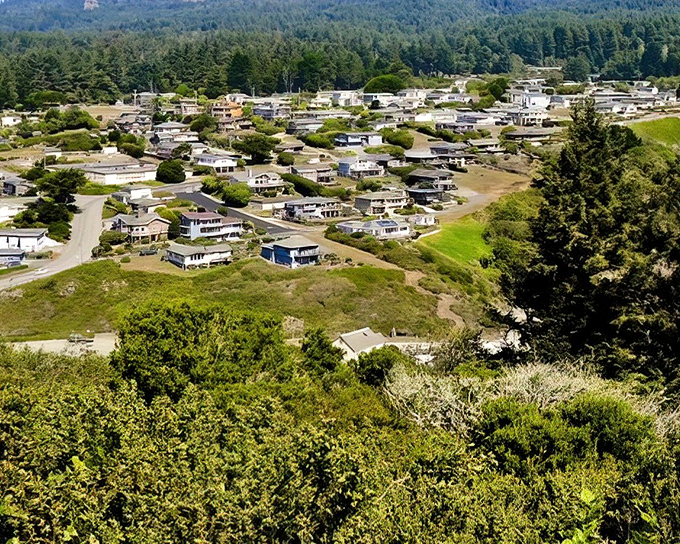 Houses cascade down Trinidad's hillsides like a California coastal village that time forgot, where fog-kissed mornings give way to postcard-perfect afternoons.
