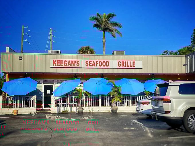 Florida sunshine meets coastal charm at Keegan's, where palm trees stand guard over a seafood sanctuary that locals have treasured for years.