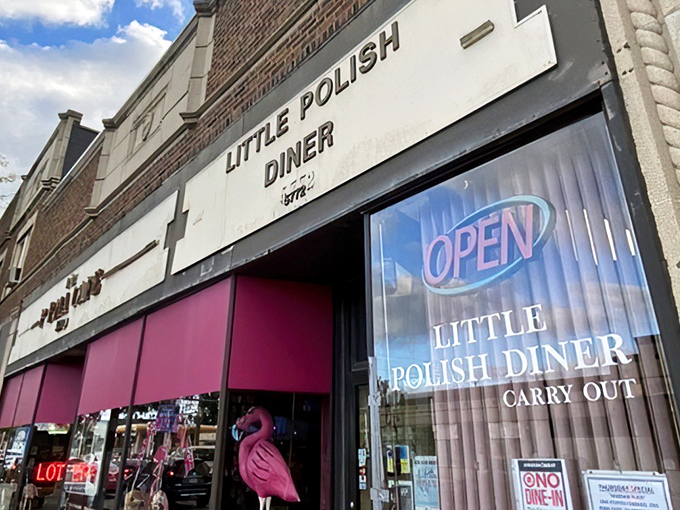 Little Polish Diner in Parma may look modest from the outside, but inside it serves up homestyle Polish flavors that pack a serious punch.