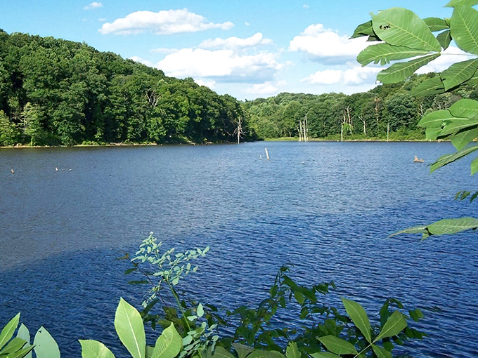 Nature's perfect mirror: Salt Fork Lake reflects the surrounding forest in such stunning clarity, you might mistake it for a Windows screensaver come to life.