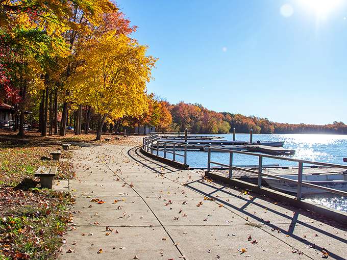 Nature's perfect mirror act: autumn trees showing off their fiery wardrobe with a water-based encore performance below. Delaware's own double feature.