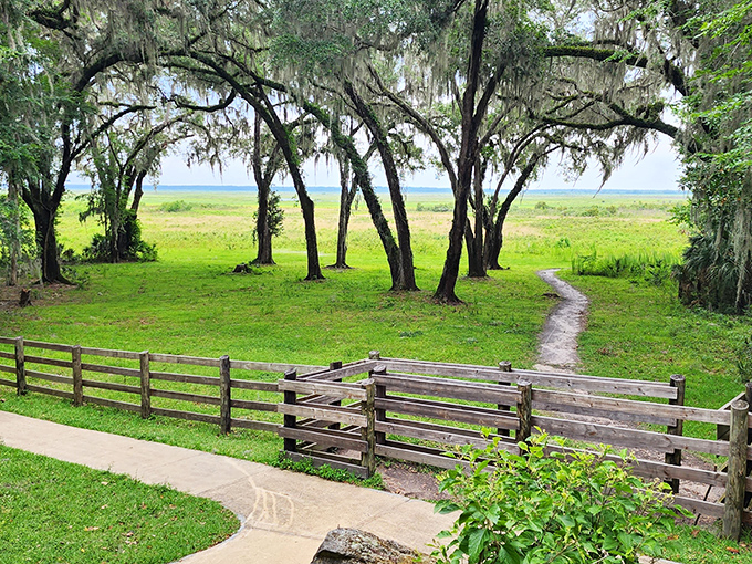 This boardwalk stretches into infinity, where lily pads and lurking gators create Florida's most thrilling nature walk.