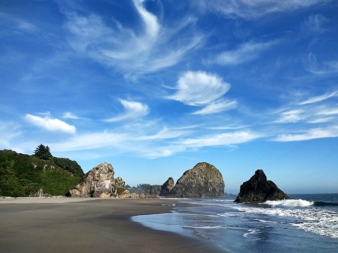 Nature's masterpiece unfolds at Harris Beach, where massive sea stacks rise from the Pacific like ancient sentinels guarding Oregon's spectacular southern coastline.