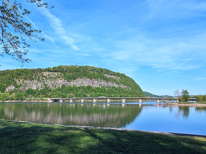 Blue Hill rises majestically above the Susquehanna River, creating a postcard-worthy backdrop that makes amateur photographers look like professionals.
