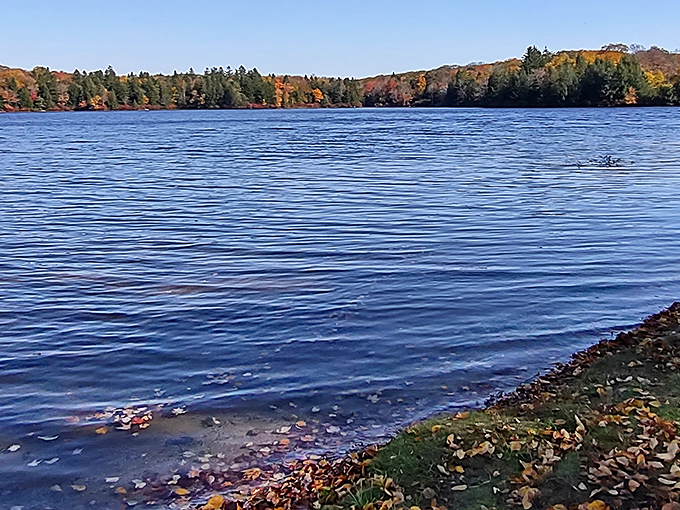 Fall foliage frames the crystal-clear waters of Promised Land Lake like nature's own masterpiece. Pennsylvania's answer to those fancy European lake retreats, minus the jet lag.