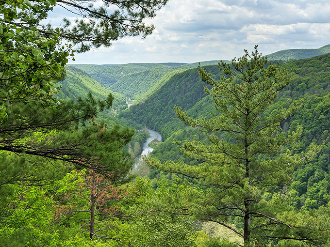 Nature's grand theater unfolds at Pennsylvania's Grand Canyon, where 800-foot walls of green create a vista that makes smartphones weep with inadequacy.
