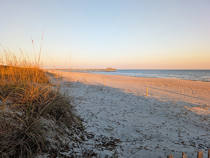 Where golden sea oats dance with the breeze and the fishing pier stretches toward infinity. Nature's perfect postcard moment at dawn.
