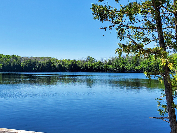 Quarry Lake's mirror-like surface reflects the surrounding forest like nature's own Instagram filter. Wisconsin's hidden gem delivers postcard-worthy views without the crowds.