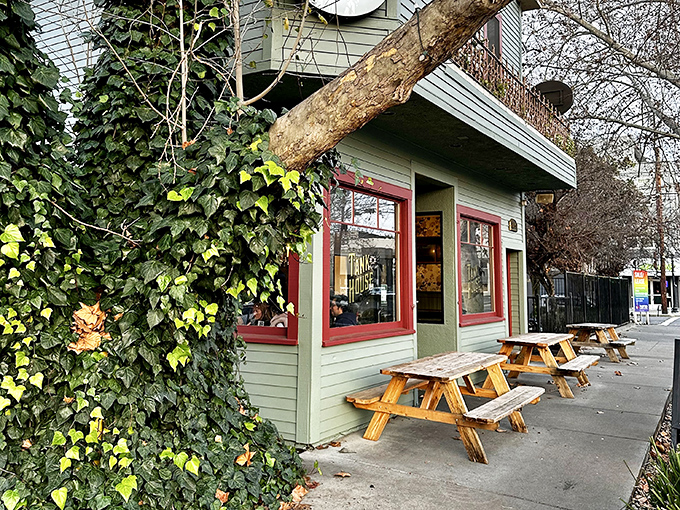 Nature meets nostalgia outside Tank House, where ivy-draped walls and rustic picnic tables invite you to savor smoky treasures in the California sunshine.