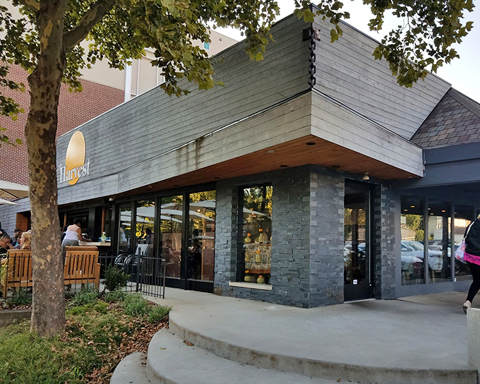The welcoming exterior of Harvest Pizzeria beckons with its modern rustic charm and sunny logo&mdash;like a culinary lighthouse guiding hungry travelers home.