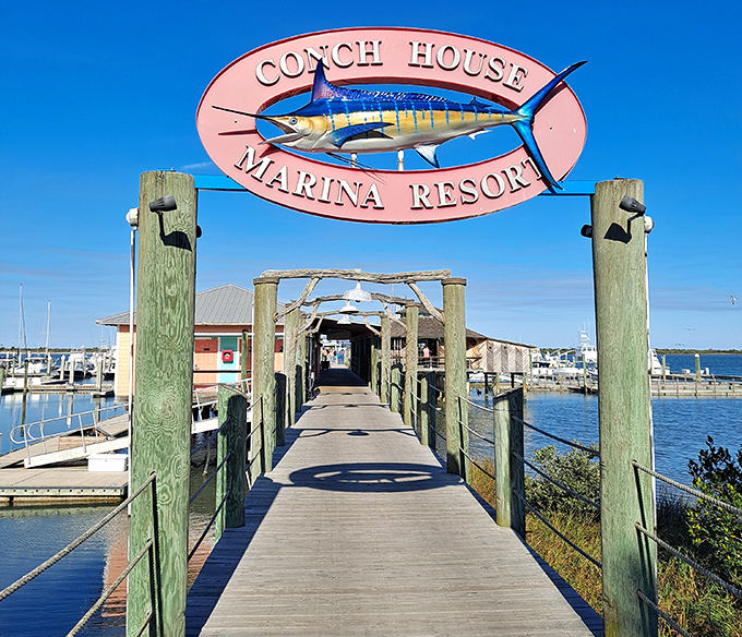A wooden boardwalk leads to seafood paradise, where the Conch House Marina Resort sign stands as a beacon for hungry boaters and landlubbers alike.