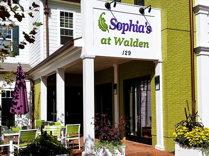 The cheerful lime-green exterior of Sophia's at Walden beckons like a culinary lighthouse, promising delicious refuge from ordinary dining experiences.