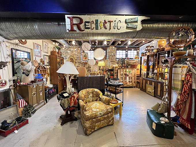 Welcome to organized chaos, where every shelf holds someone's forgotten treasure waiting for its comeback tour.