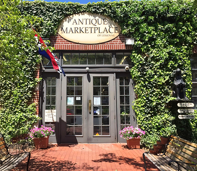 Welcome to wonderland – where ivy hugs brick and treasures await behind those inviting glass doors.