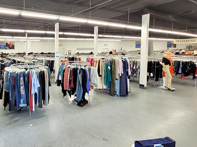 The unassuming exterior belies the treasure trove within. Like a culinary speakeasy, this thrift store's modest façade keeps its secrets until you step inside.