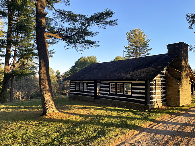 The historic log cabin at Cherry Springs stands as a rustic time capsule, where daytime adventures begin and nighttime stargazing dreams take shape.