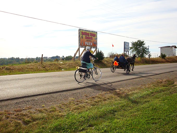 Where worlds collide: An Amish buggy and cyclist share the road outside Millersburg, a daily reminder that here, past and present travel side by side.