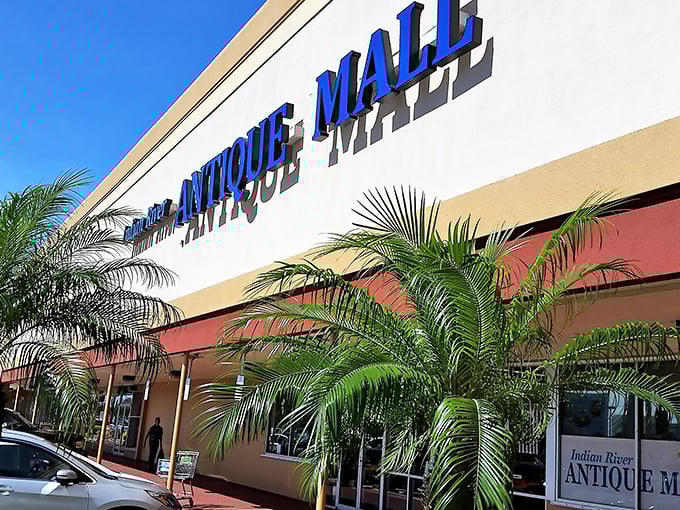 The blue lettering against the beige facade promises adventure. Like a portal to the past, this unassuming storefront houses countless memories waiting to be rediscovered.