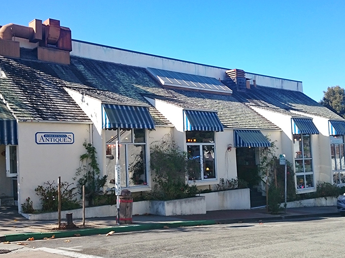 The unassuming exterior of Robertson's Antiques with its distinctive blue awnings belies the wonderland of treasures waiting inside this Carmel-By-The-Sea institution.